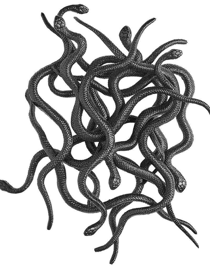 12 stk Sorte Slanger til Dekoration - Edderkopper, Mus & Insekter ...