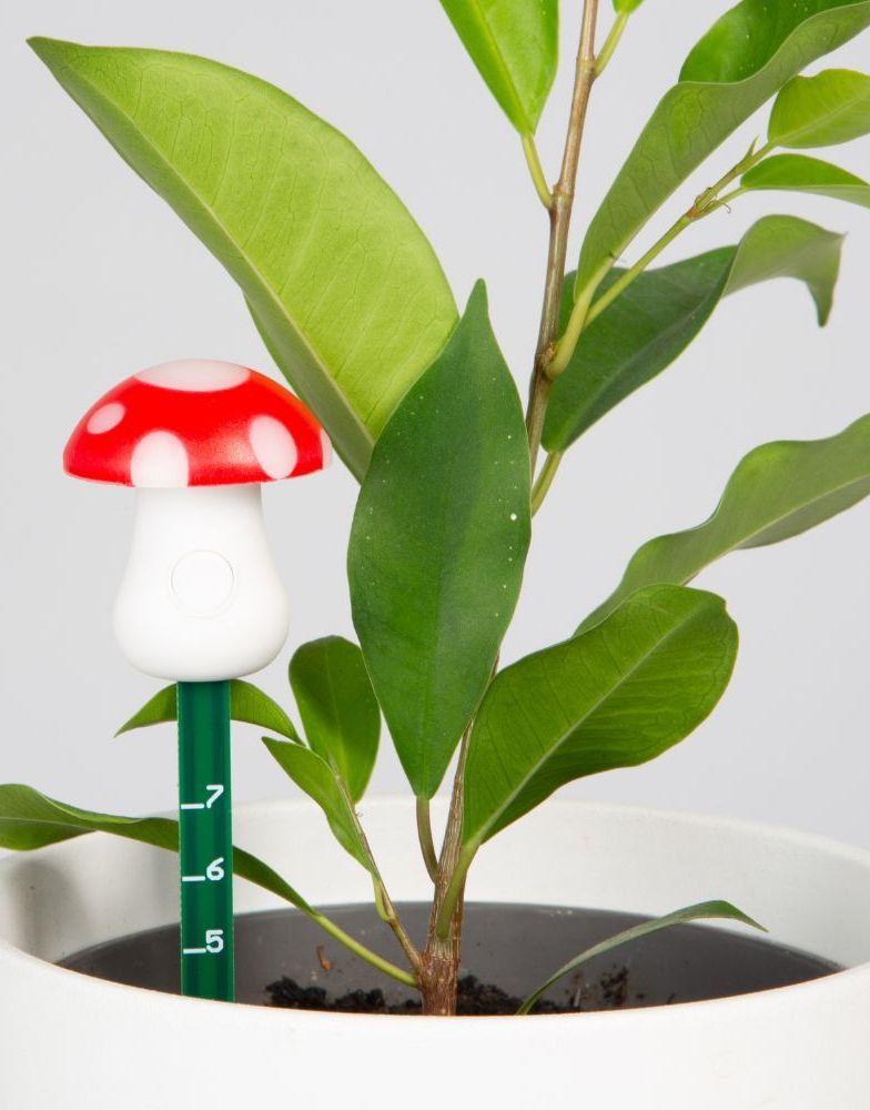 Svamp Fugtighedsmåler til Planter - Ting & Sager - Cool Dtuff - TUSIND TING