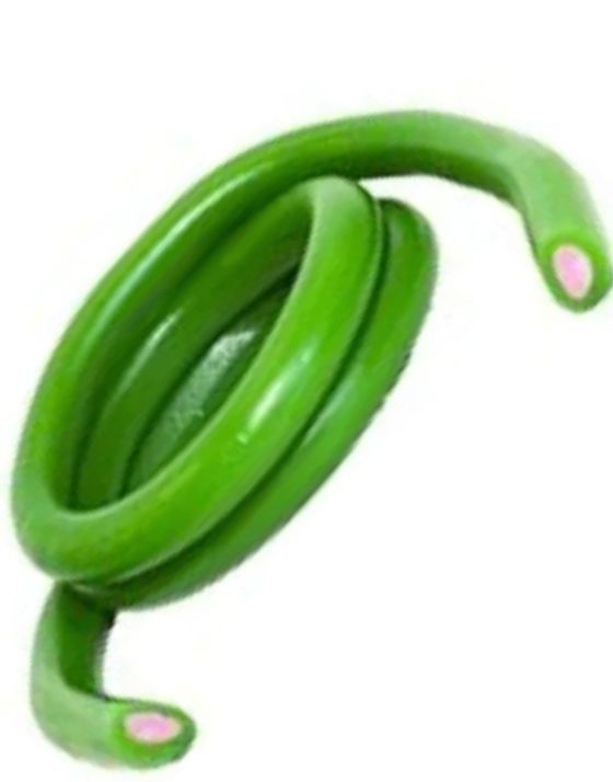 5,4 kg Dulce Plus Giant Watermelon Cables / LANGE Vandmelonstænger - 60 ...