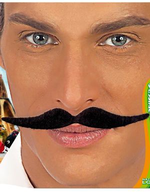 Zorro - Svart Bart og andre Skjegg & Barter